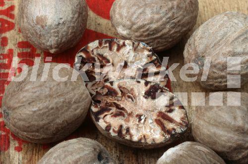 blickwinkel - Muskatnussbaum (Myristica fragrans), Samen - nutmeg, mace ...