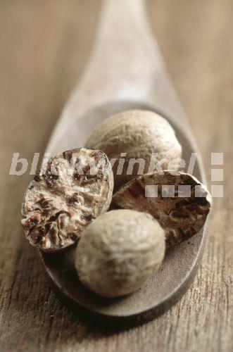 blickwinkel - Muskatnussbaum (Myristica fragrans), Fruechte auf Loeffel ...