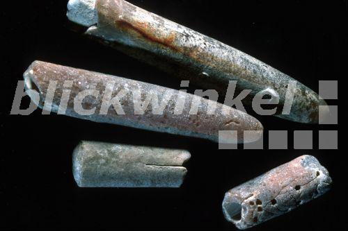 blickwinkel - Belemniten (Belemnitida, Belemnella occidentalis), aus ...