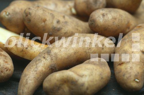 blickwinkel - Kartoffel (Solanum tuberosum 'Larette', Solanum tuberosum ...