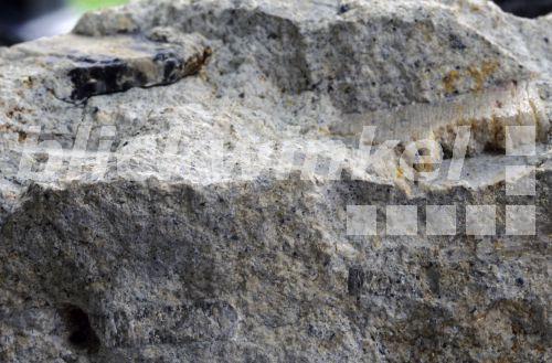 blickwinkel - Trachyt vom Drachenfels am Rhein, Deutschland, Rhein ...