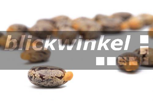 blickwinkel - Rizinus, Rizinus-Staude, Rizinusstaude, Wunderbaum ...