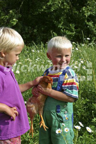 blickwinkel - Zwei Kinder mit Huhn - two children with hen - F. Hecker