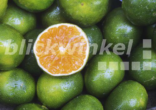 blickwinkel - Orange, Apfelsine (Citrus sinensis), gruenschalige ...