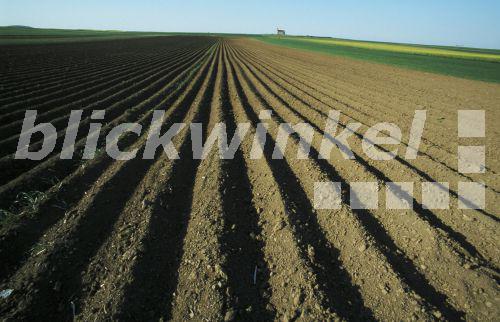 blickwinkel - Agrarlandschaft, Ackerfurchen, Oesterreich ...