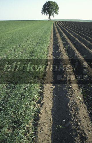 blickwinkel - Agrarlandschaft, Ackerfurchen, Oesterreich ...