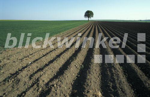 blickwinkel - Agrarlandschaft, Ackerfurchen, Oesterreich ...