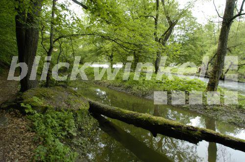 blickwinkel - Nationalpark Thayatal, Fluss Thaya, Seitenarm ...