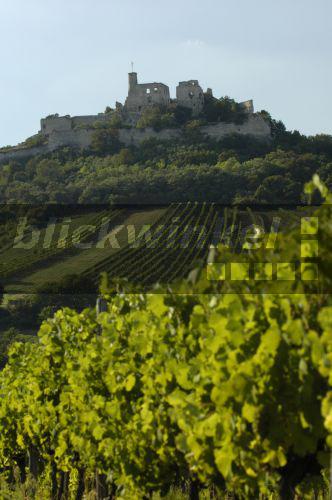 blickwinkel - Weinregion Falkenstein im Weinviertel, Oesterreich ...