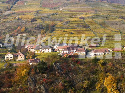 blickwinkel - Wachau, herbstlicher Weingarten, Kamptal, Oesterreich ...