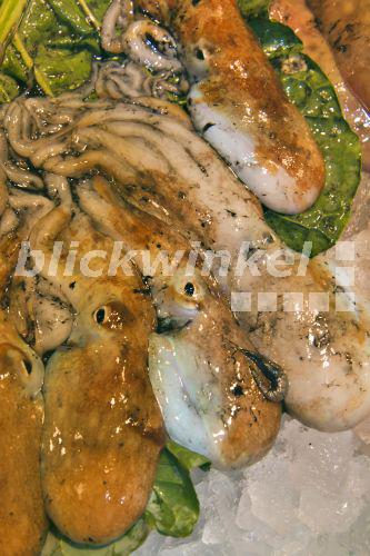 blickwinkel - Sepie (Sepia spec.), Tintenfische auf dem Fischmarkt ...