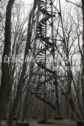 blickwinkel - Aussichtsturm im Wald, Deutschland, Hessen, Taunus ...