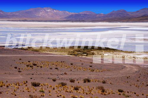 blickwinkel - Salzsee in Wuestenlandschaft, Chile, Anden, Atacamawueste ...