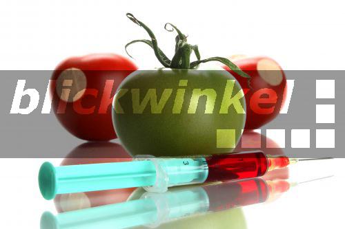 blickwinkel - Genmanipulierte Tomaten - genetic engineering - McPHOTO/R ...