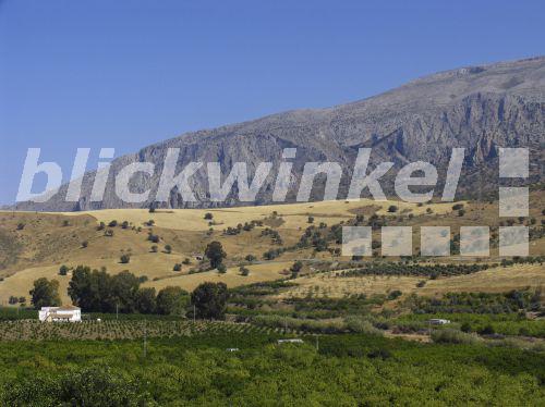blickwinkel - Typische andalusische Landschaft bei Alora, Spanien ...