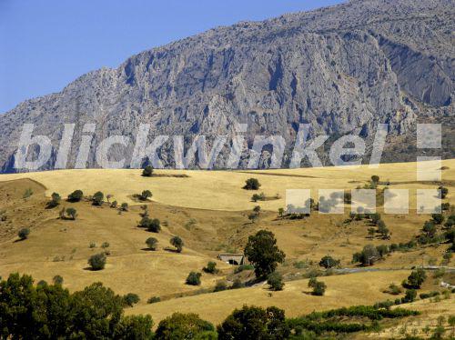 blickwinkel - Typische andalusische Landschaft bei Alora, Spanien ...