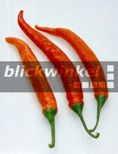 blickwinkel - Rote Peperoni - red chilli - allOver/TPH