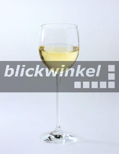 blickwinkel - Glas Weisswein - glass of white wine - allOver/TPH