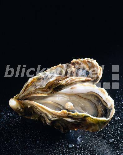 blickwinkel - Austern (Ostreidae), Perle in einer Auster - oysters ...