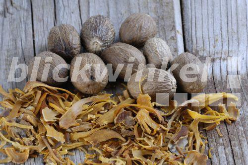 blickwinkel - Muskatnuss (Myristica fragrans), Muskatnuesse und Bluete ...