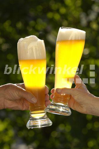 blickwinkel - Prost, zwei frischen Weizenbiere werden angestossen ...