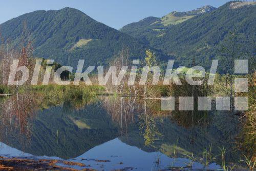 blickwinkel - Hochrunstfilze zwischen Raubling und Bad Feilnbach ...