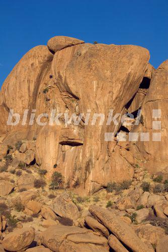 blickwinkel - Ameib Ranch, Elefantenkopf bei Bull's Party im Abendlicht ...