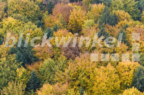 blickwinkel - herbstlicher Mischwald aus der Luft, Oesterreich - wood ...