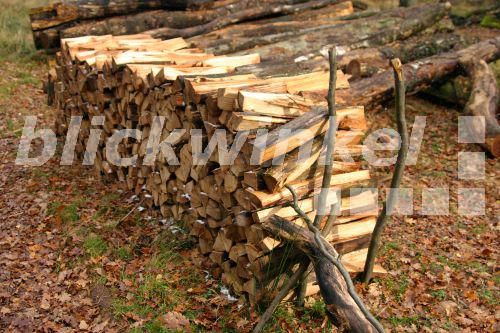 blickwinkel - Brennholzstapel im Wald, Deutschland - stacked fuelwood ...
