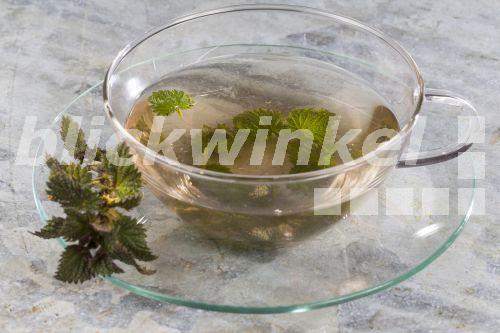 blickwinkel - Grosse Brennnessel, Grosse Brennessel (Urtica dioica ...