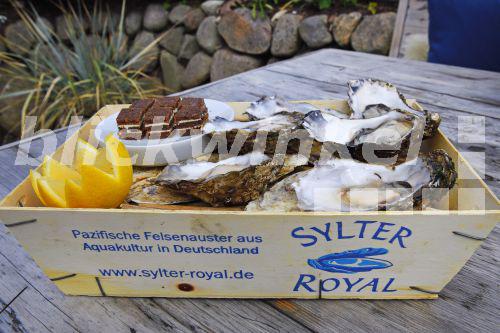 blickwinkel - 6 frische Austern der Zuchsorte Sylter Royal aus ...