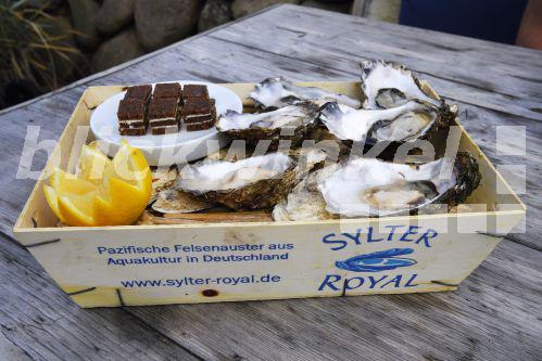 blickwinkel - 6 frische Austern der Zuchsorte Sylter Royal aus ...
