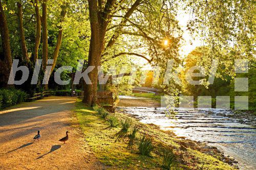 blickwinkel - Fluss Ahr im Kurpark im Abendlicht, Deutschland ...