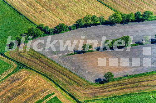 blickwinkel - Heckenlandschaft auf der Husumer Geest, Deutschland ...