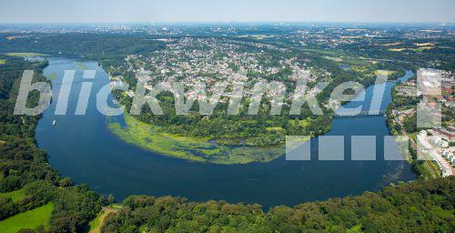 blickwinkel - Nutalls Wasserpest, Schmalblaettrige Wasserpest (Elodea ...